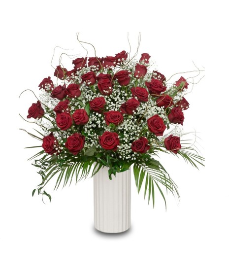 Grandeur Roses | Luxury Long Stem Rose Arrangement