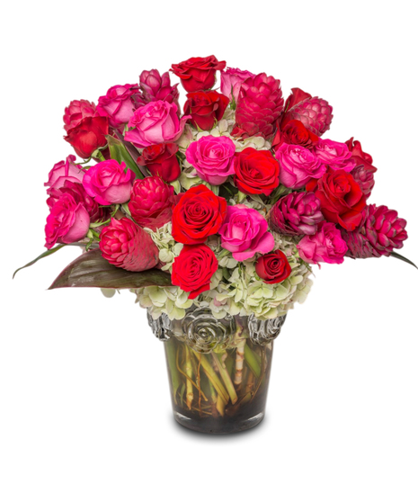 St. Louis Rose Delivery | Walter Knoll Florist St. Louis